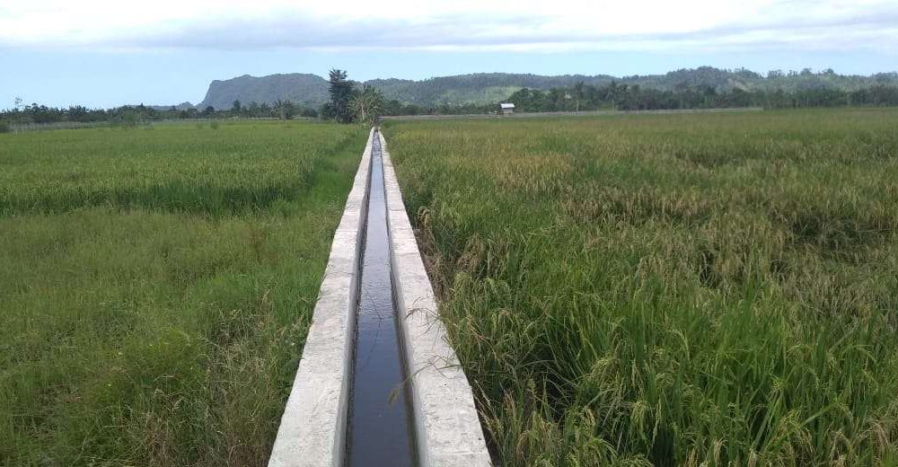 Jaringan Irigasi Tersier di Jayapura Tingkatkan IP Jadi 300% - LIPUTAN ...