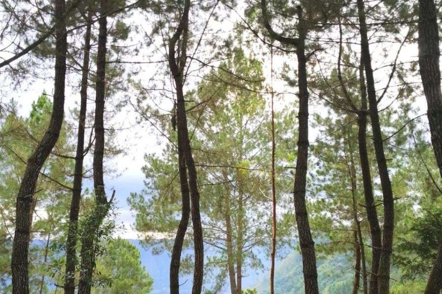 The Kaldera – Toba Nomadic Escape, Destinasi Kelas Dunia di Danau Toba ...