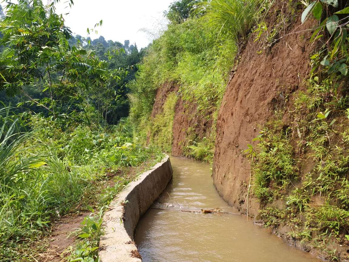 Rehabilitasi Irigasi Turut Berperan Peningkatan Produksi Padi 8,21 Juta ...