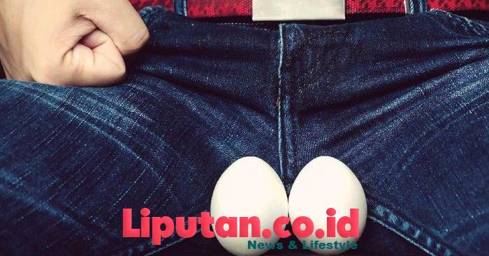 Ciri-ciri Buah Zakar yang Terpelintir, Segera Periksa! - LIPUTAN.CO.ID