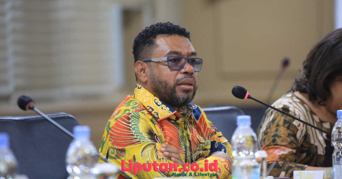 Senator Filep Respons Mitra MBG Yang Mundur Karena Tak Dibayar, Minta ...